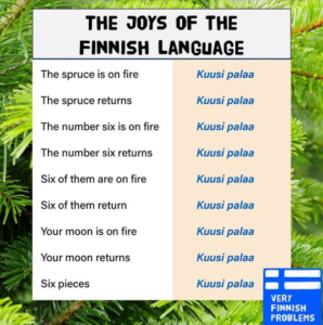 7 Hilarious Finnish Language Memes that Describe Finnish, Spot on