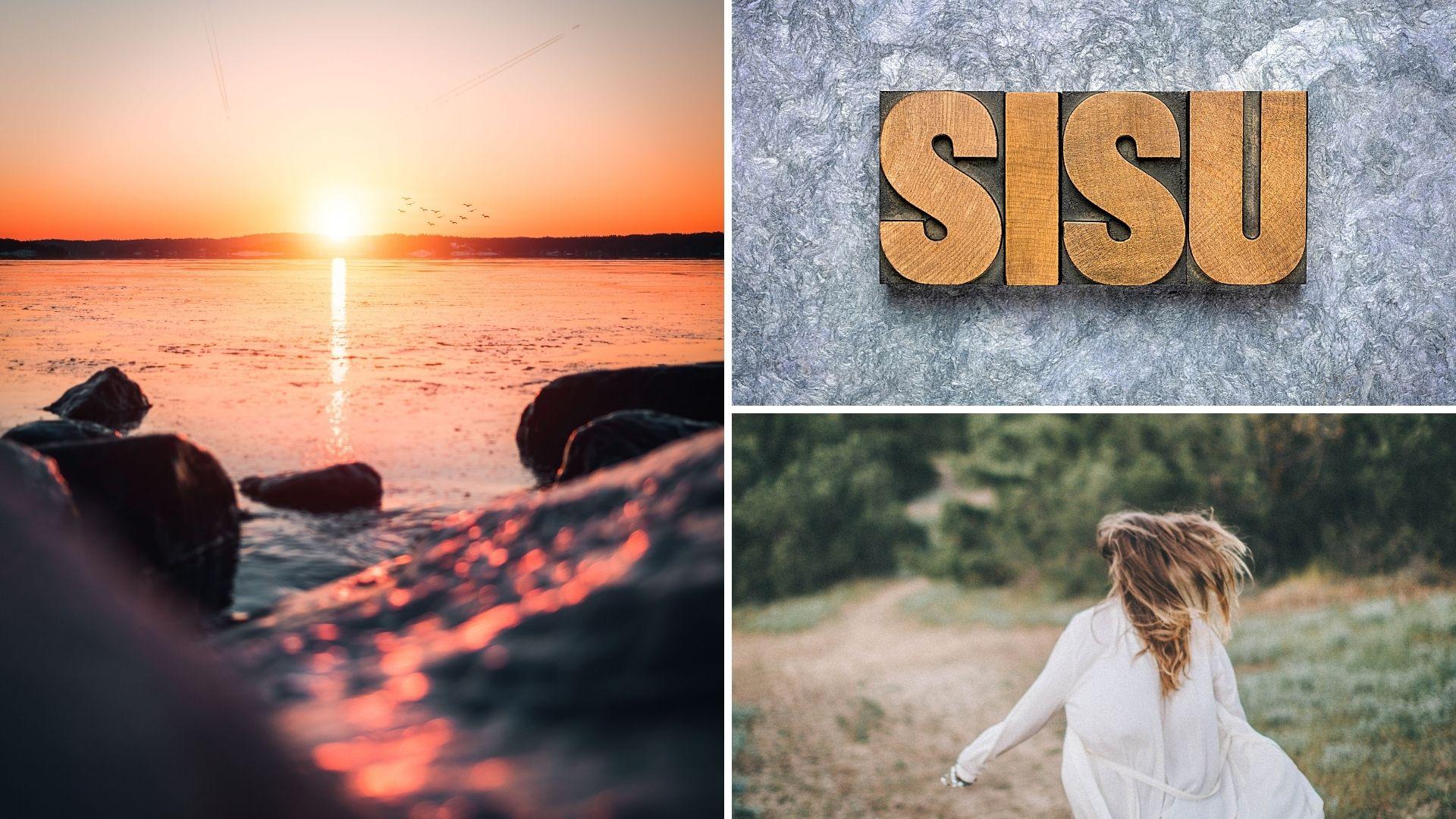 What Is Sisu And Its Meaning In Personal Use A Finn Explains What Is Sisu And Its Meaning In Personal Use A Finn Explains