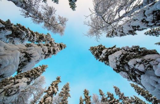 Discover 100+ Unique Finnish names and their meanings