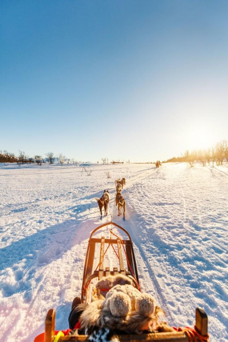 50+ Captivating Finnish Quotes Translated to English