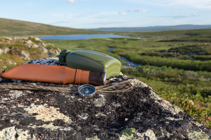 Visiting Lapland in the Summer: Is It Worth It?