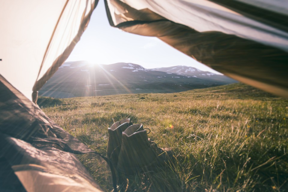 Visiting Lapland in the Summer: Is It Worth It?